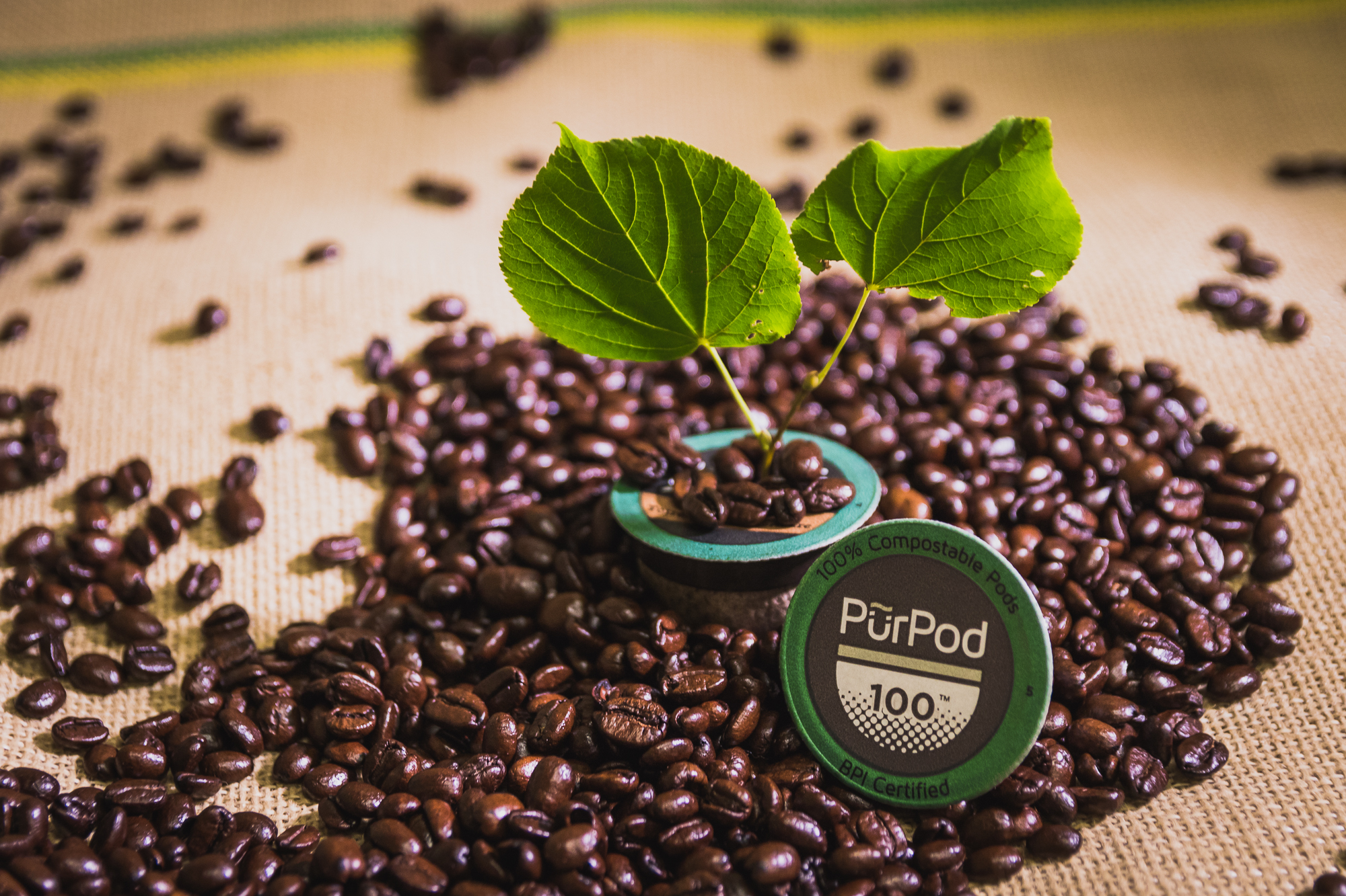 Club Coffee Expands Compostable Innovations - Club Coffee